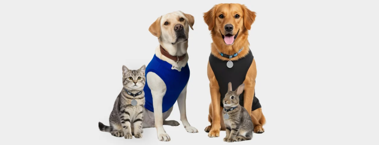 T Shirt Size Chart Guide In India: Men, Women, & Kids Clothing